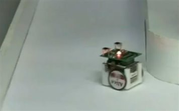 Study Employs Ant-Sized Bots to Study How Ants Navigate through their ...