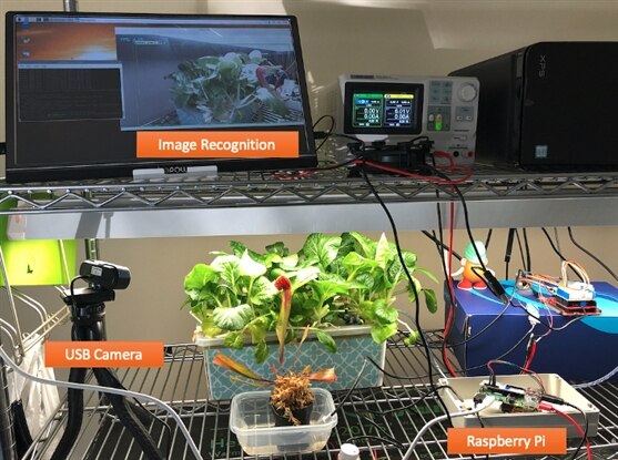 2Pi Microgravity Garden Blog 7 | AI Image Recognition with Raspberry Pi and Tensor Flow ...