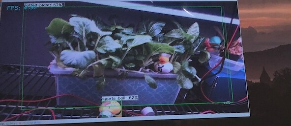 2Pi Microgravity Garden Blog 7 | AI Image Recognition with Raspberry Pi and Tensor Flow ...