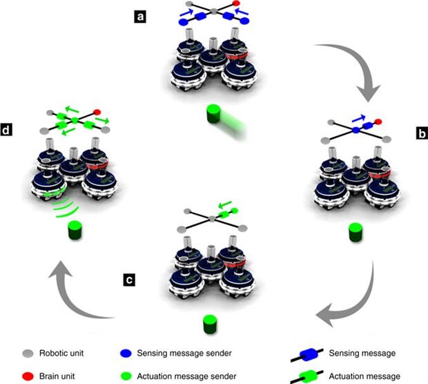 Researchers Create Robots With Hive Mind and can Self-Heal - element14 ...
